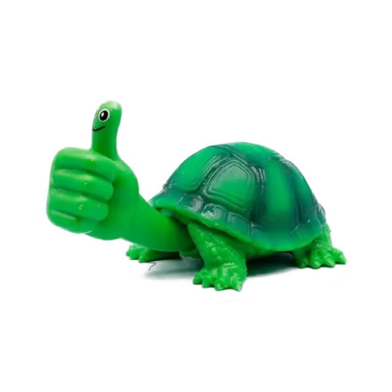 Brainrot Figures Turtle Gusture
